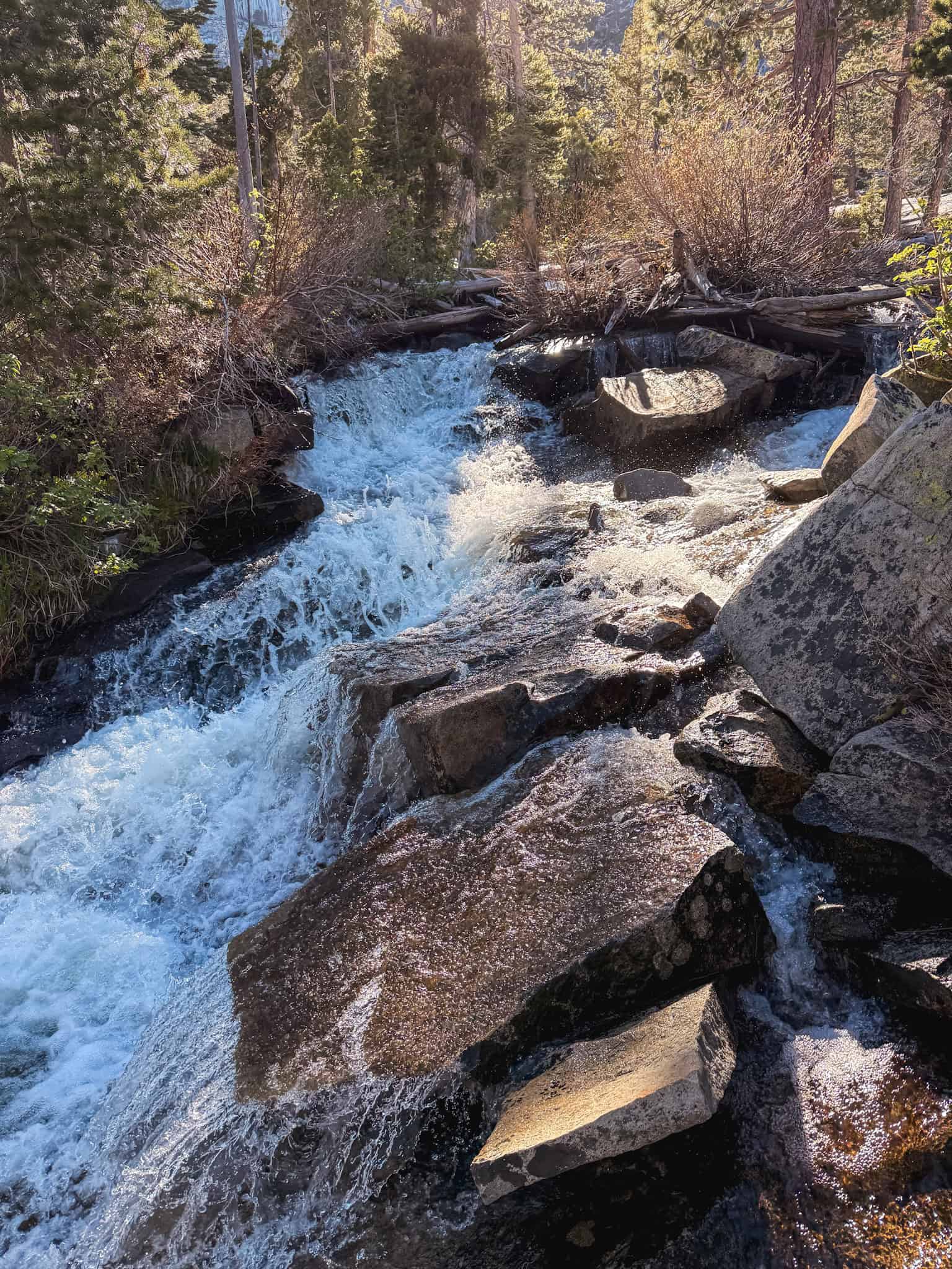 20 Lake Tahoe Hikes You Shouldn't Miss (Easy to Hard Trails)
