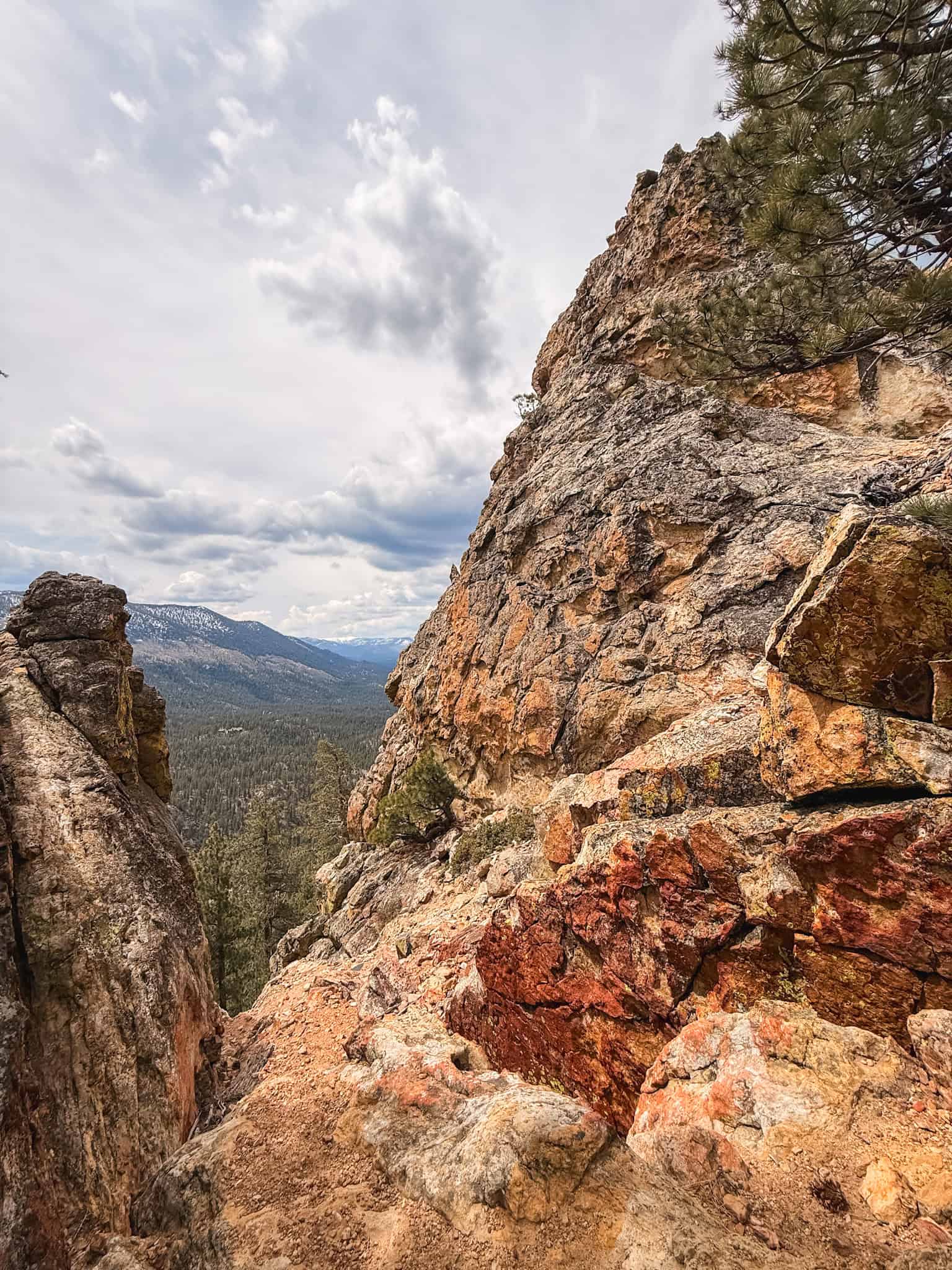 20 Lake Tahoe Hikes You Shouldn't Miss (Easy to Hard Trails)